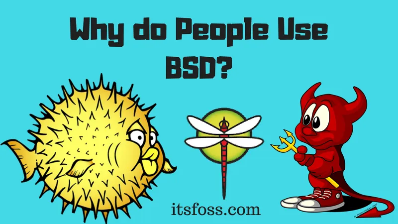 BSD nedir? | Technopat Sosyal