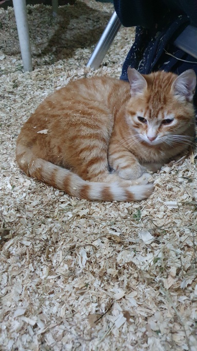 Beryln | Technopat Sosyal