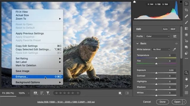Adobe Super Resolution Aracı, Görüntüleri 4 Kat Büyütebiliyor - Technopat